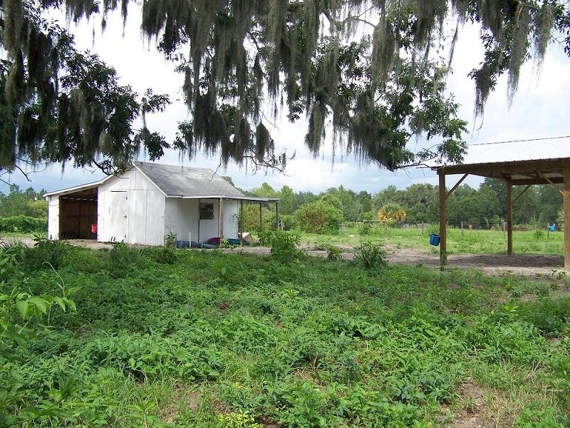 1898 Victorian in Candler, Florida - OldHouses.com