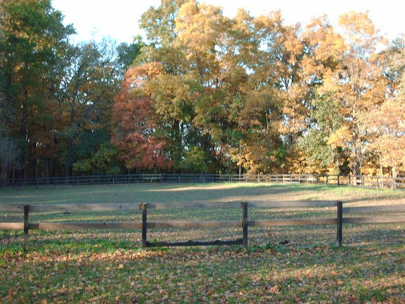 1830 Federal in Birmingham, Ohio - OldHouses.com