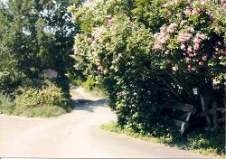 1790 Dutch Colonial in Provincetown, Cape Cod, Massachusetts ...