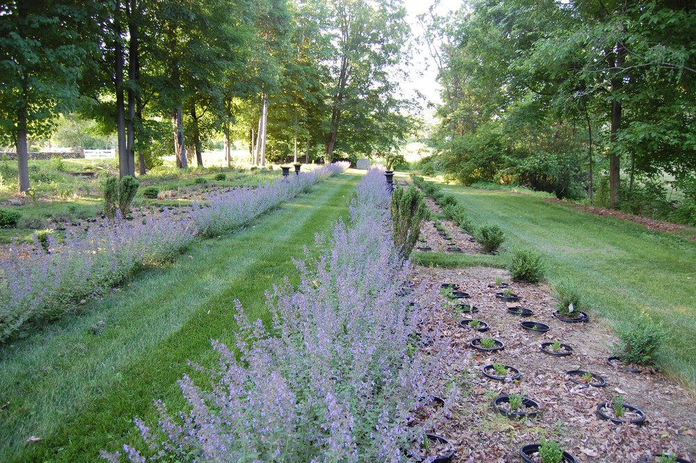 1782 Georgian Colonial Farm in Harvard, Massachusetts - OldHouses.com